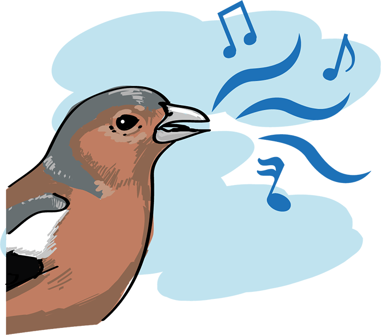 zwitschern | wort.schule