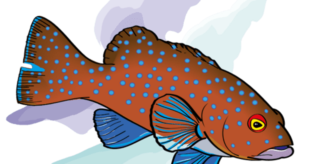 Fisch | wort.schule